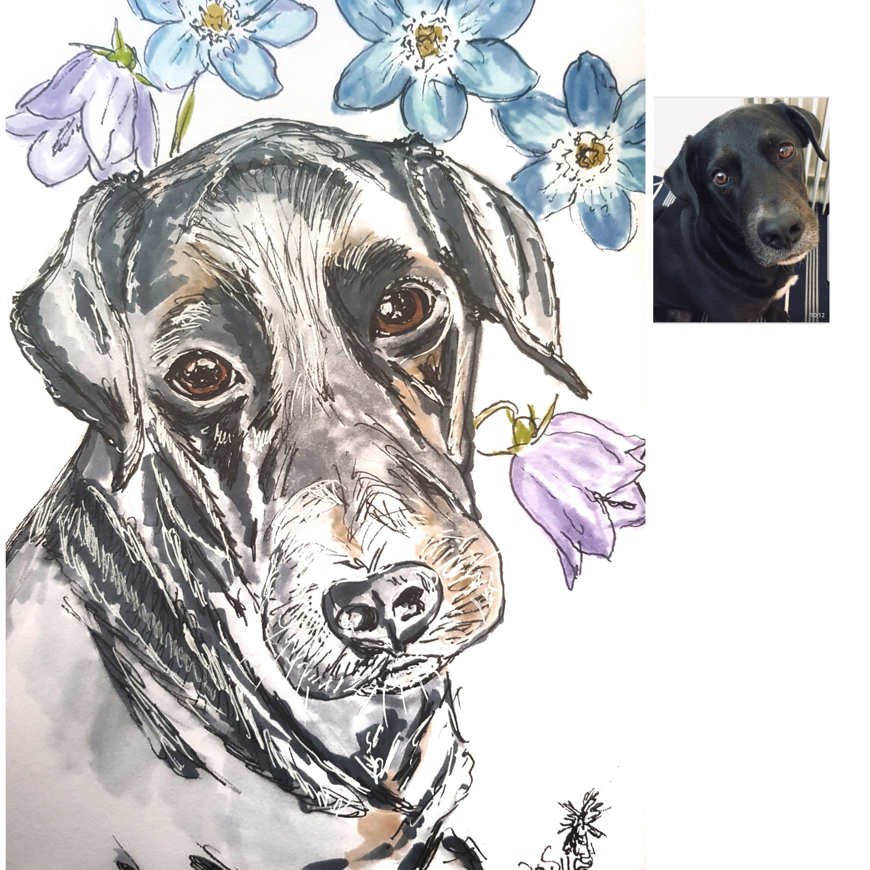 Dog Drawing From Photo Pet Parent Gift Custom Pet Portrait Dog - Etsy