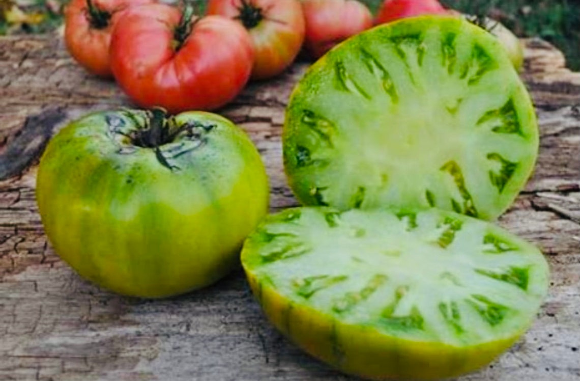 Green Cherokee Tomato Heirloom Organic 10 Seeds - Etsy