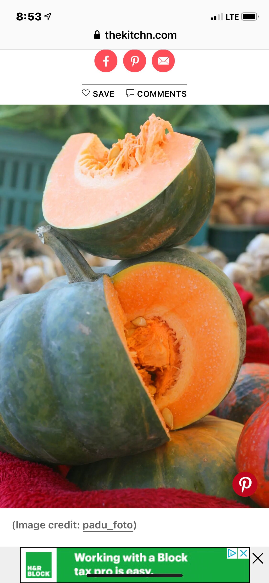 Green Kabocha Squash/ Pumpkin Heirloom Organic 10 Seeds | Etsy
