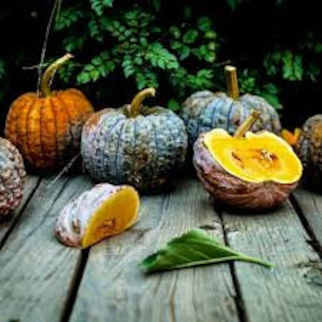 Black Futsu Winter Squash 15 Seeds - Etsy