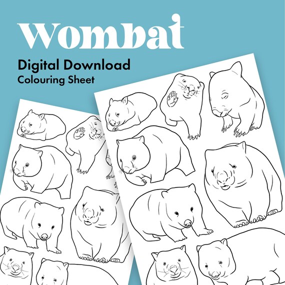 Wombat Digital Download Colouring Page - Etsy