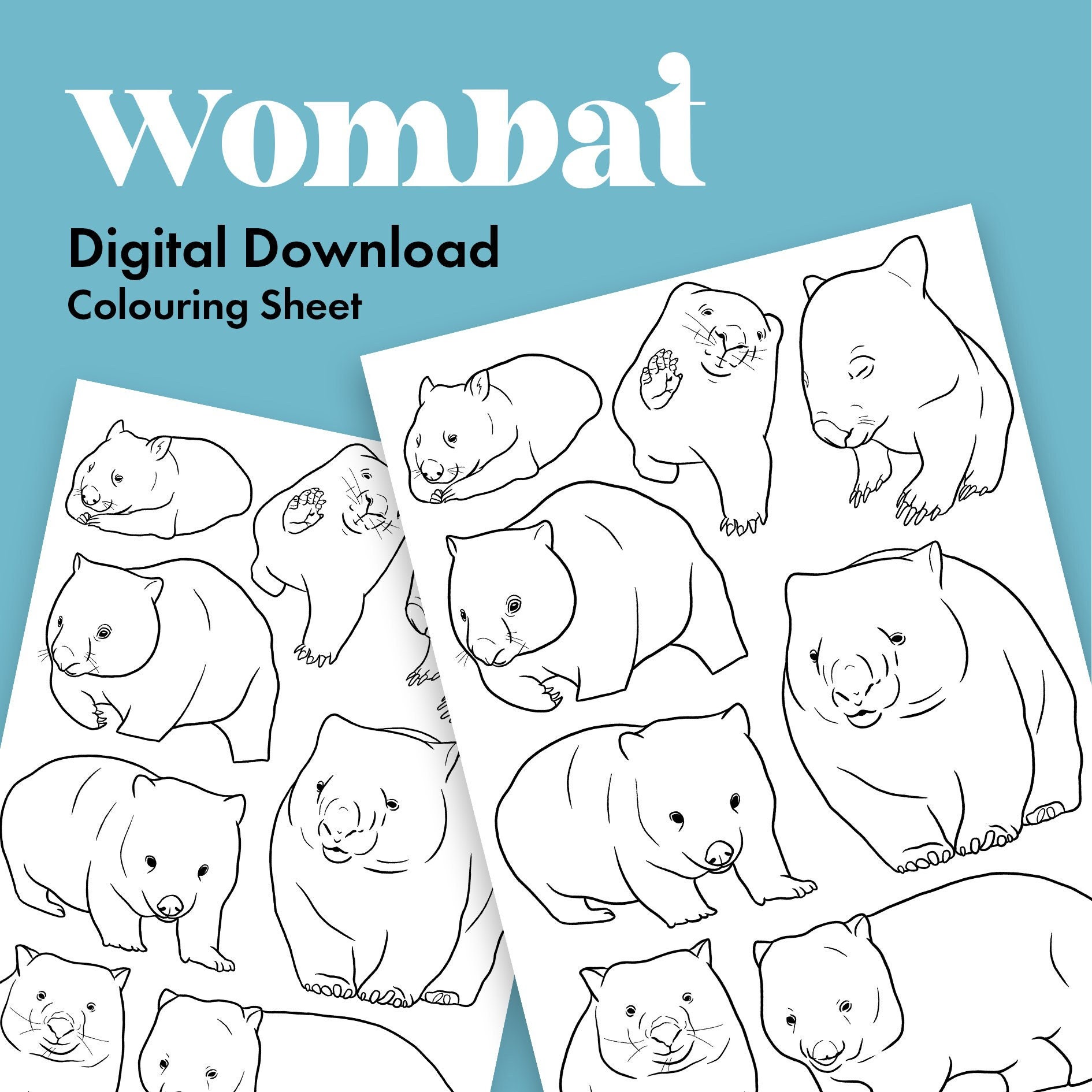 Wombat Digital Download Colouring Page - Etsy