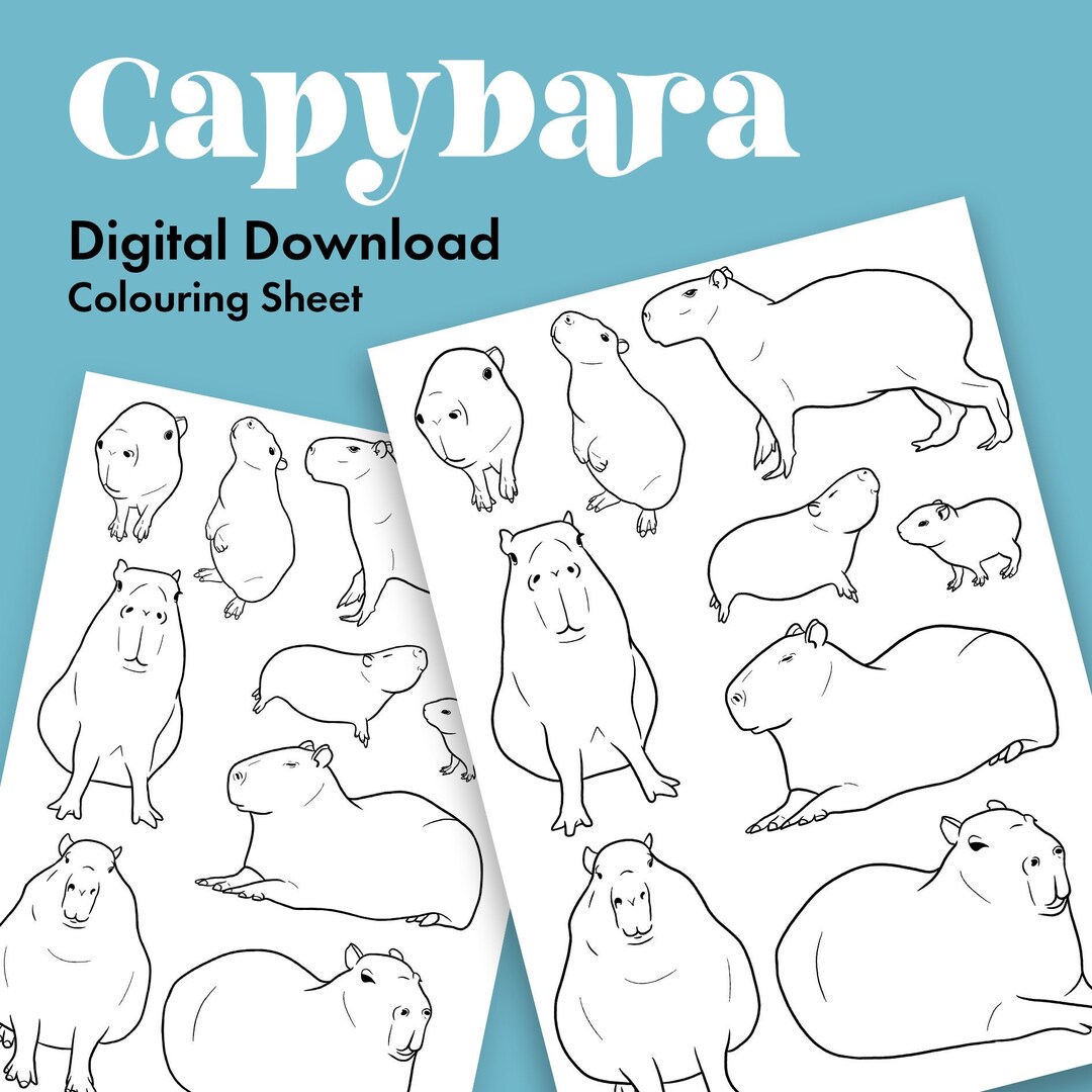 Capybara Digital Download Colouring Page - Etsy