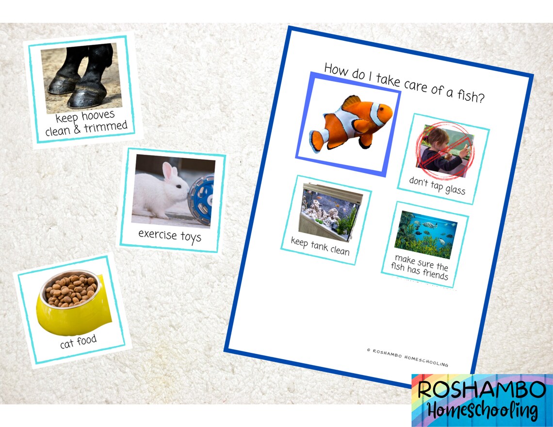 Learn About Animals Matching Game for Kids, Printable, Digital Download ...