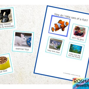 Learn About Animals! Matching Game for Kids, Printable, Digital ...