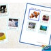 Learn About Animals! Matching Game for Kids, Printable, Digital ...
