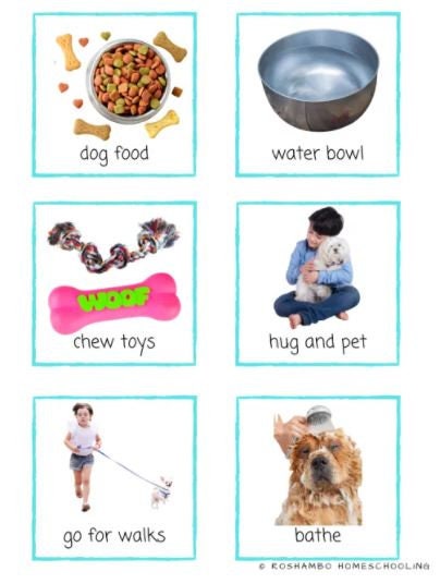 Learn About Animals! Matching Game for Kids, Printable, Digital ...