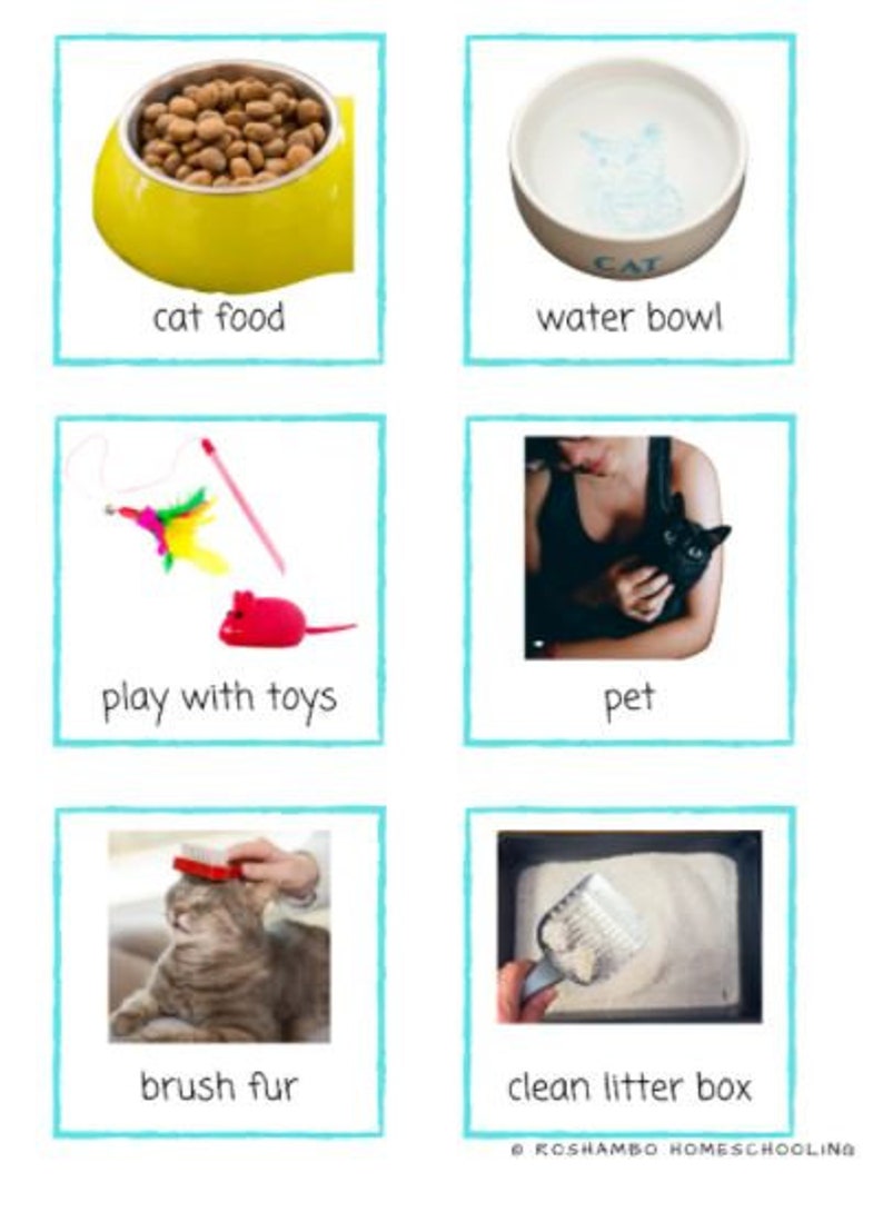 Learn About Animals! Matching Game for Kids, Printable, Digital ...