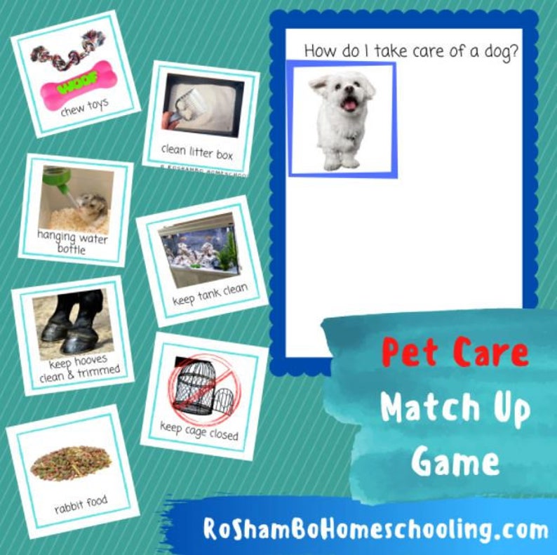 Learn About Animals! Matching Game for Kids, Printable, Digital ...
