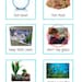Learn About Animals! Matching Game for Kids, Printable, Digital ...