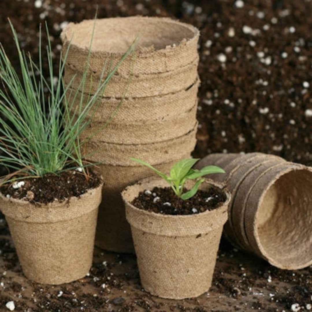 Peat Pots BULK 2-1/4” Round, Great for Seed Starting; 48, 96 or 192 ...