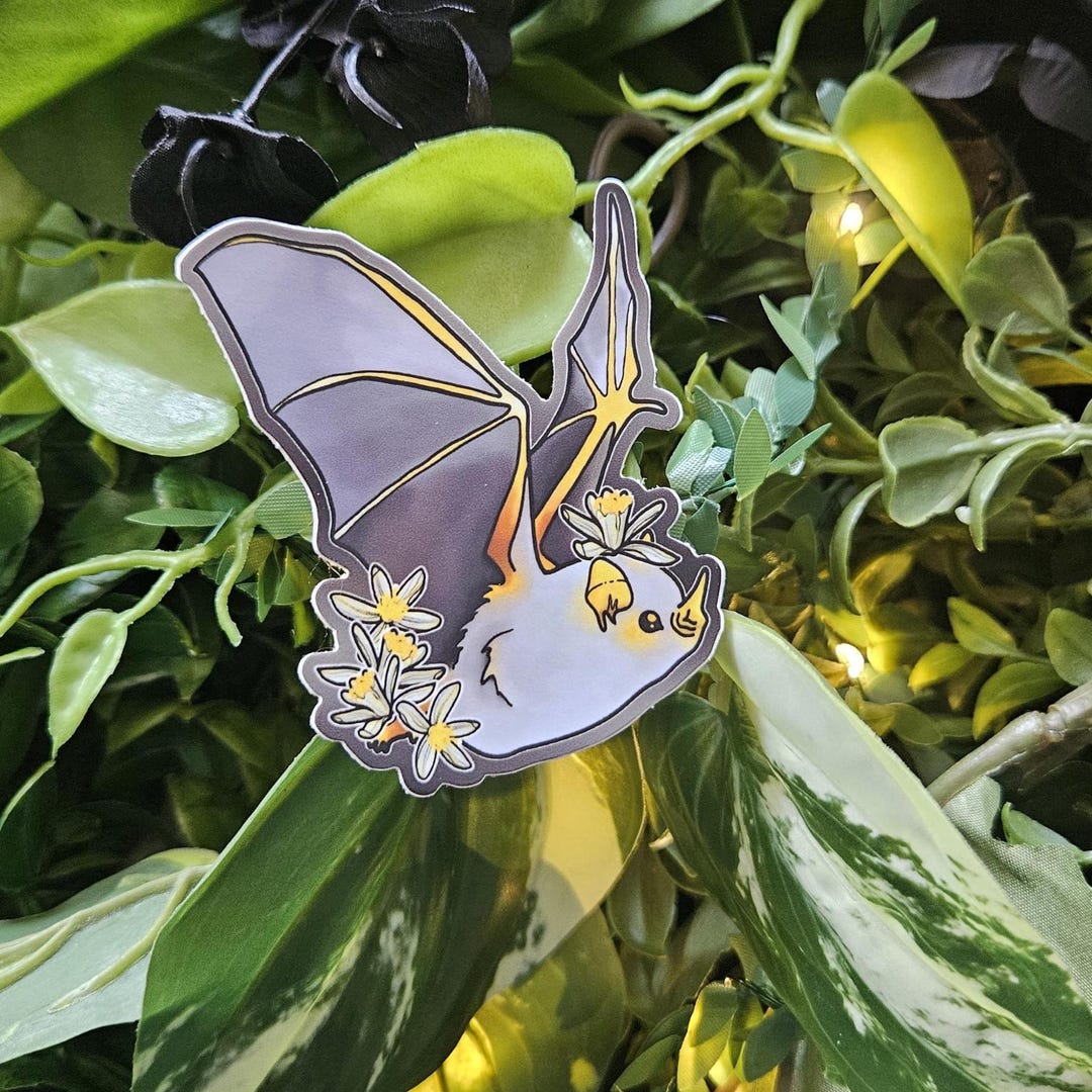 MATTE STICKER: Honduran Ghost Bat With Lemon Flowers - Etsy