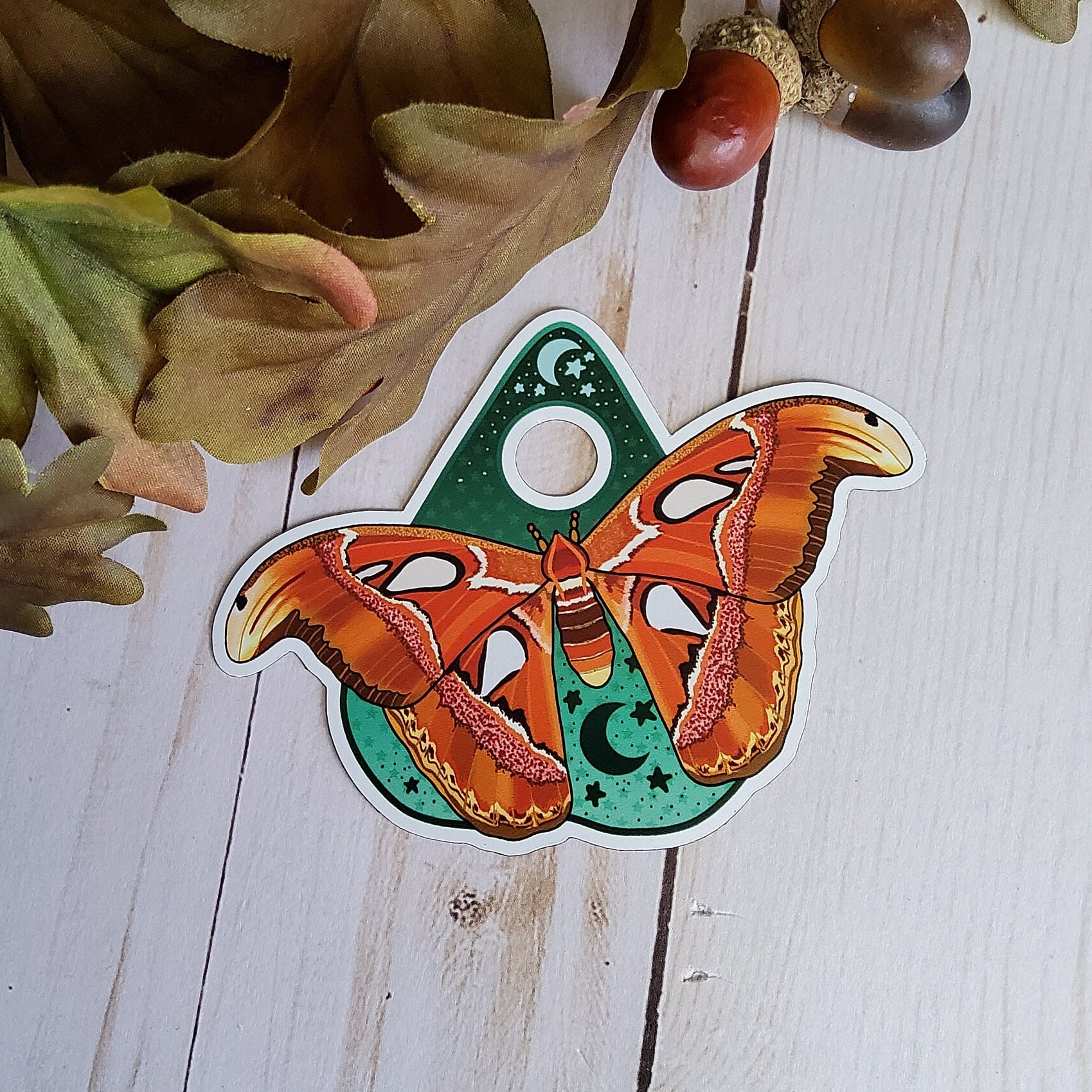 MAGNET: Atlas Moth Planchette Decorative Magnet Atlas Moth - Etsy