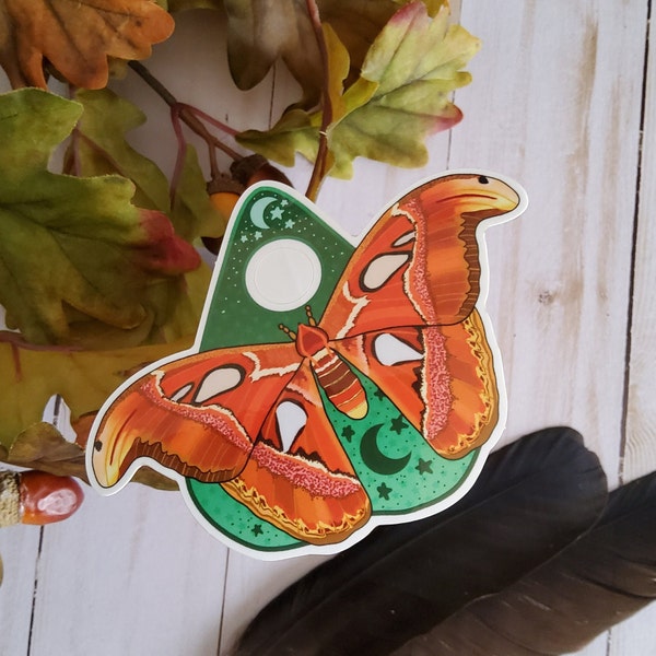 Moth Laptop Sticker - Etsy