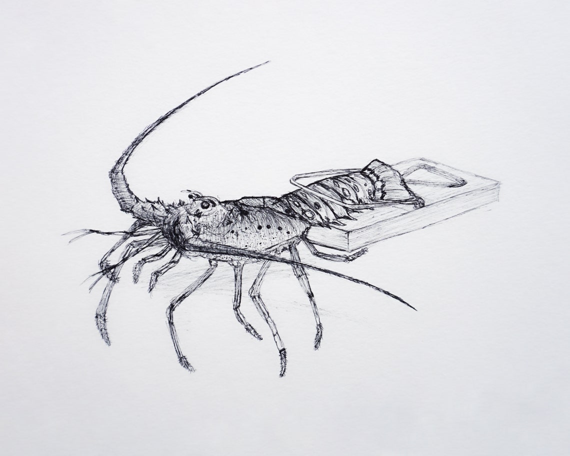 Lobster Trap 8x10 Ink Pen Print in 11x14 Matte - Etsy