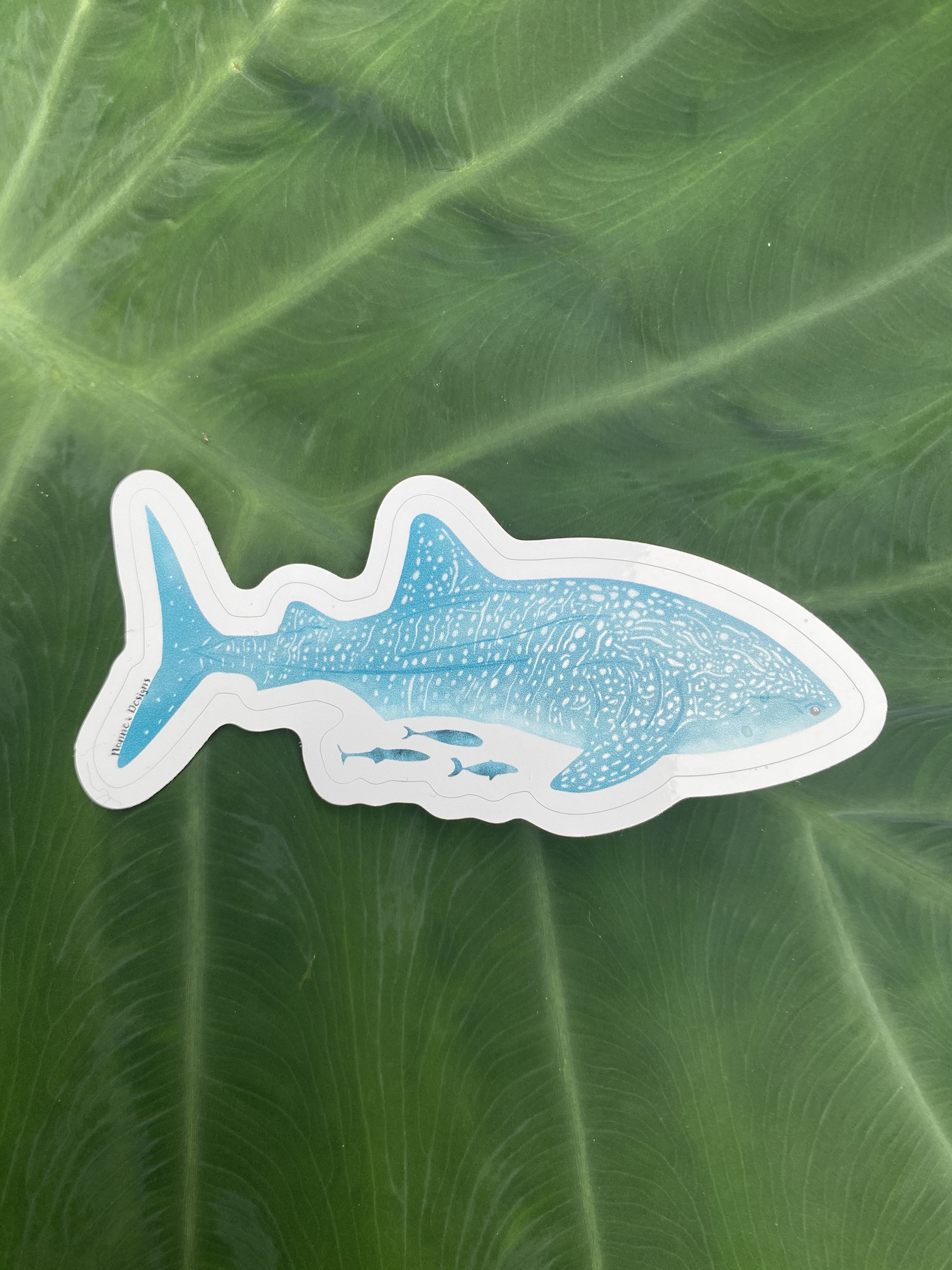 Whale Shark Sticker - Etsy