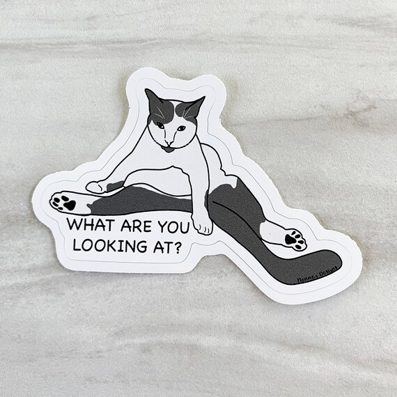 What Are You Looking At Cat Sticker | Etsy