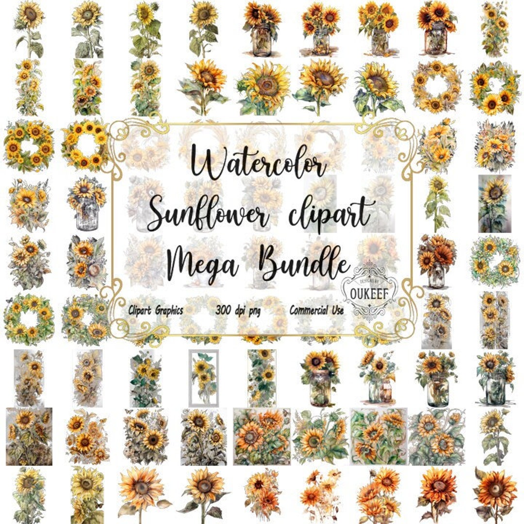 Watercolor Sunflower Clipart Mega Bundle of High Quality Transparent ...