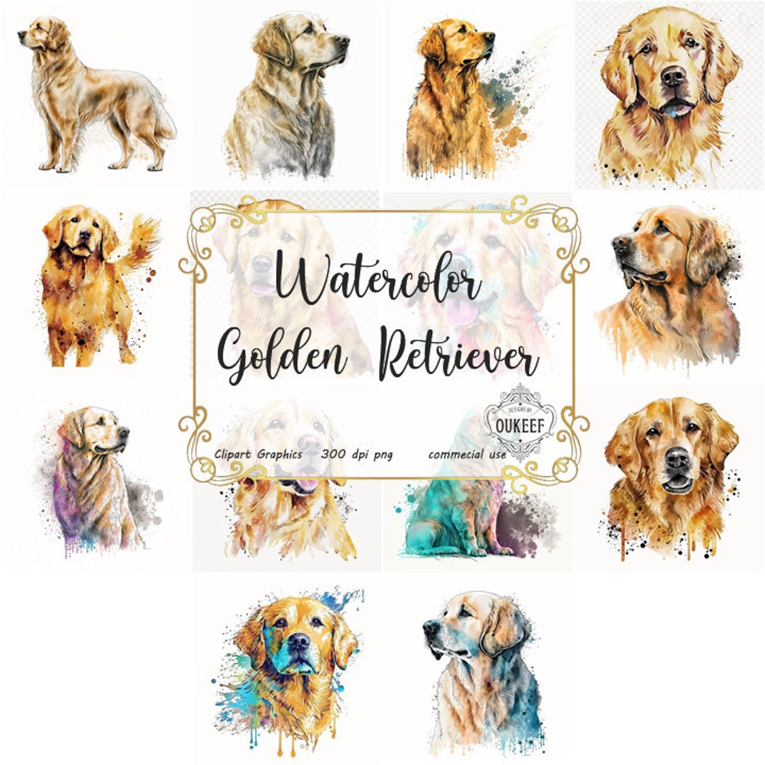Watercolor Golden Retriever Clipart, 14 High Quality Pngs, Dog Clipart ...
