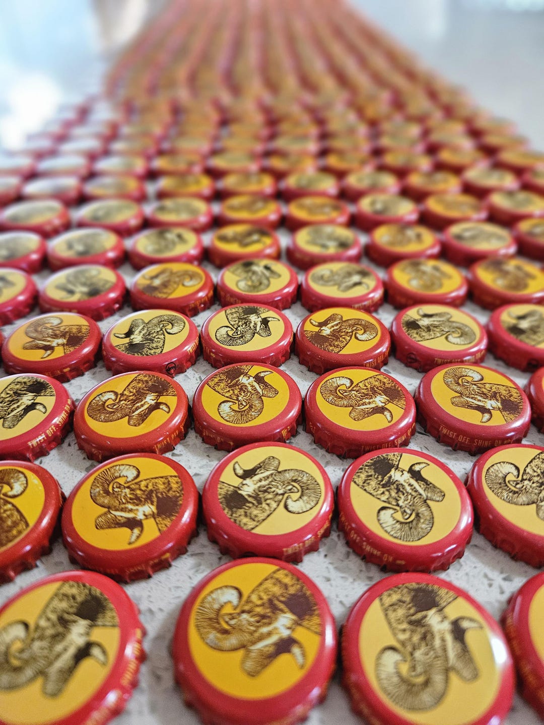500 Shiner Bock Beer Bottle Caps: Craft & Jewelry Supplies - Etsy