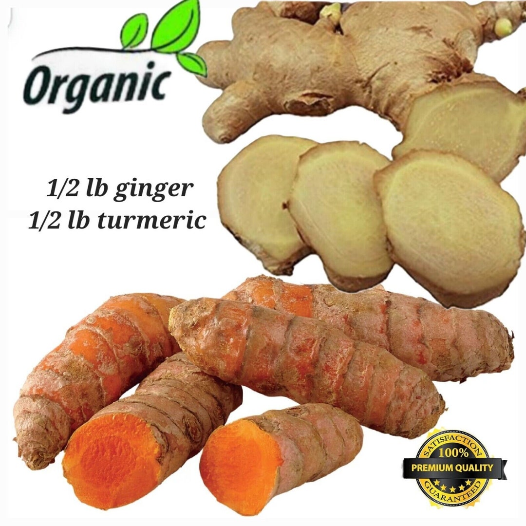 Turmeric Roots, Ginger Roots, Organic, Plant, Juice, Spices, Cooking ...