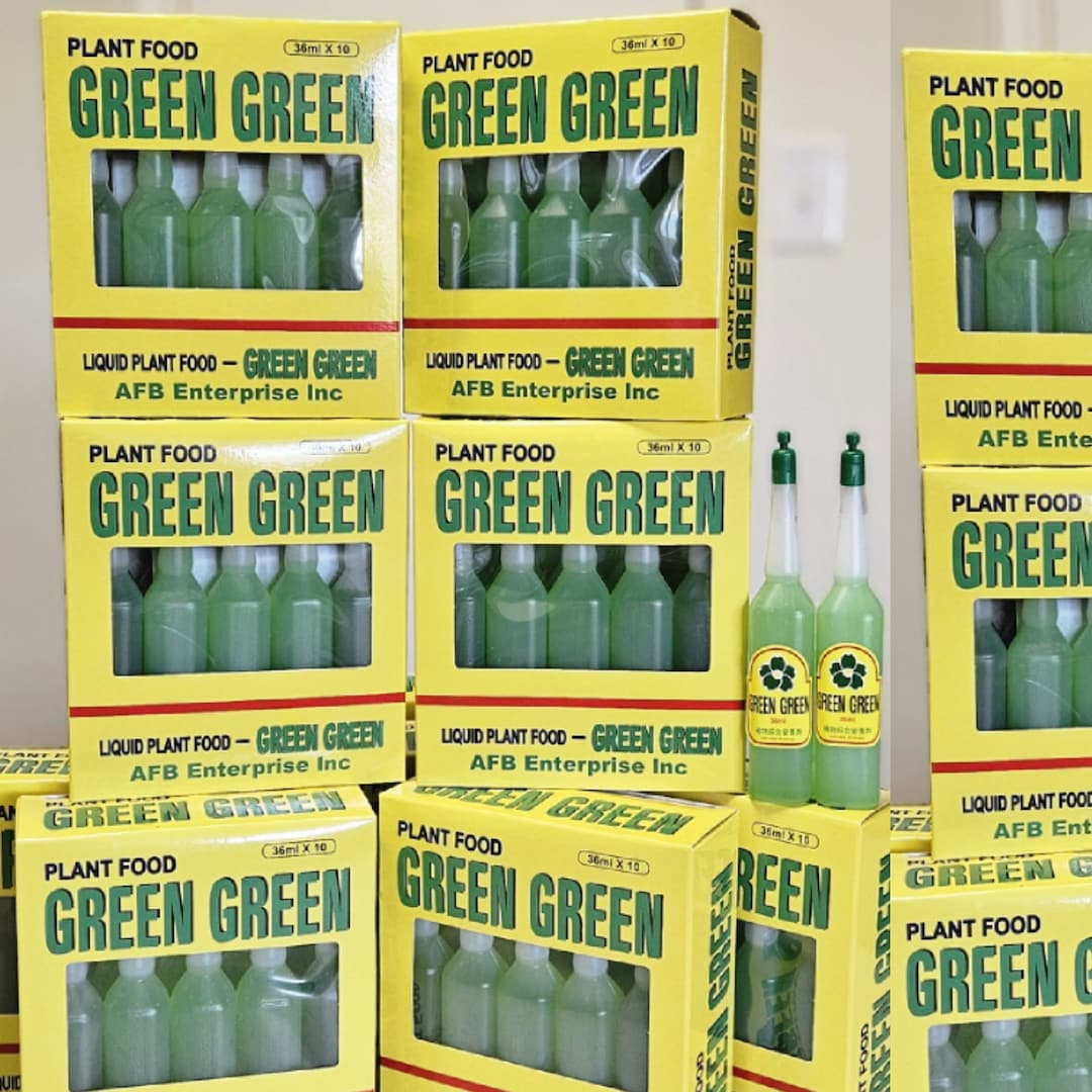 GREEN GREEN Plant Food Fertilizer for Lucky Bamboo (5 Bottles) - Etsy