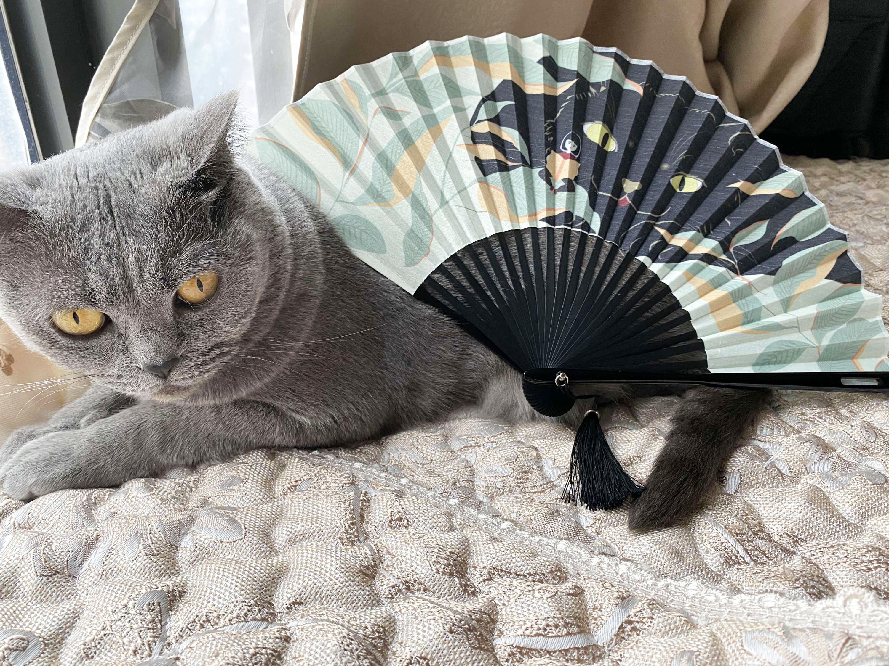 Beautiful Japanese Style Folding Fan Cat Pattern Hand Fan | Etsy