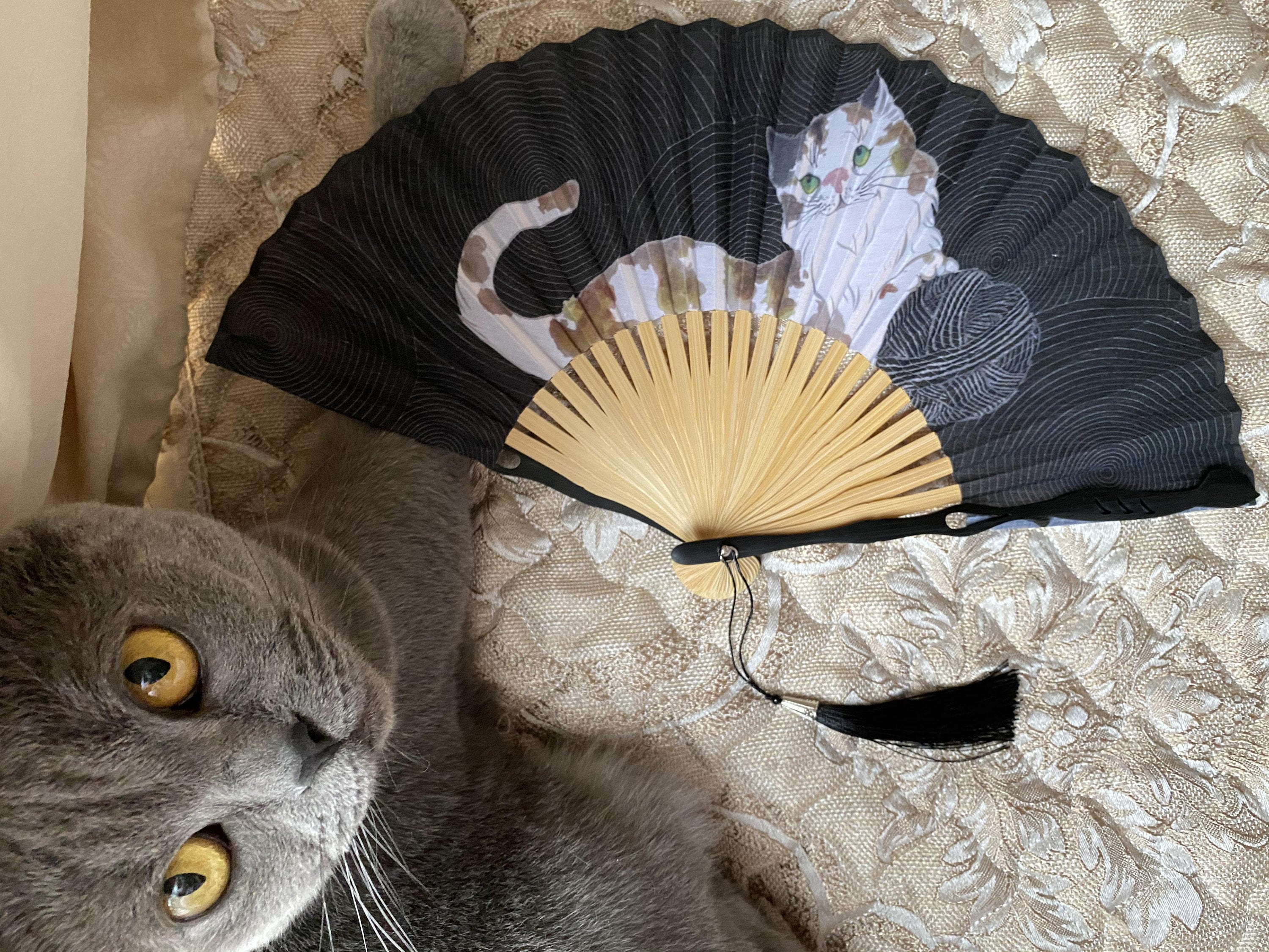 Cat Pattern Folding Fan, Kitty Hand Fan, Parents Gift.decorative Baby ...