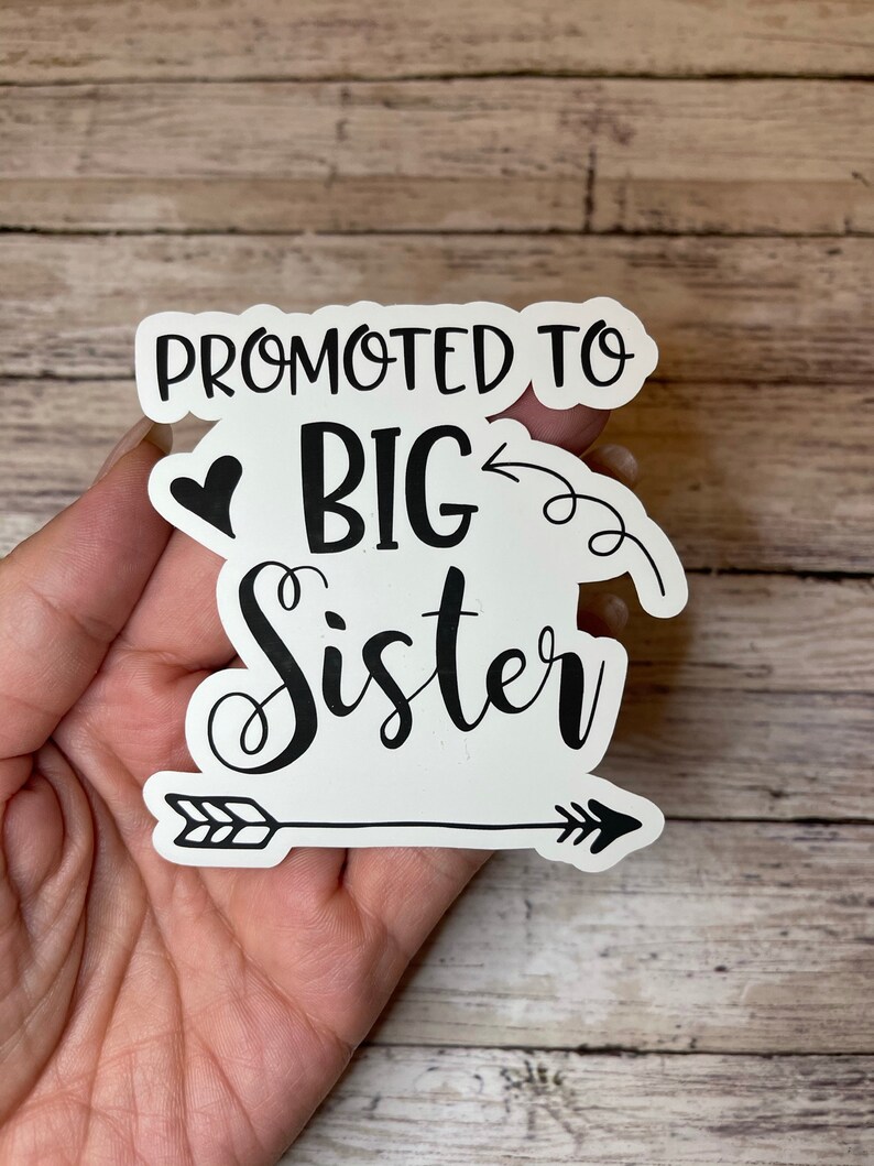 Big Brother Big Sister Sticker - Etsy