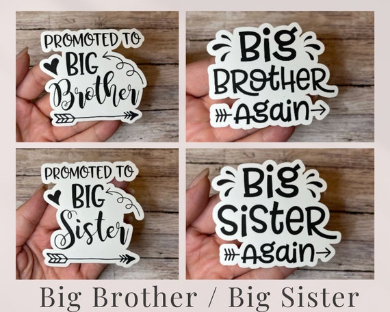 Big Brother Big Sister Sticker - Etsy