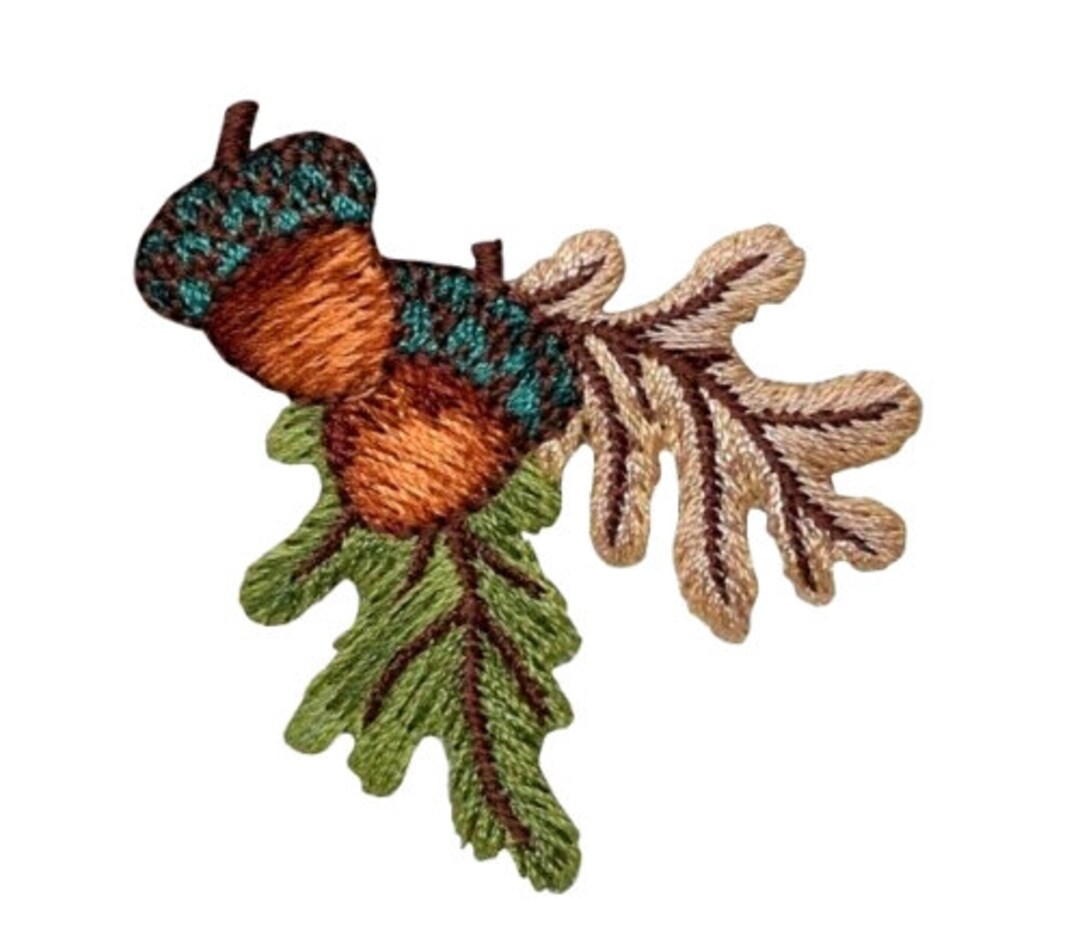 Iron on Patch Applique Two Acorns Size is Approx. 2" X 1-5/8" - Etsy