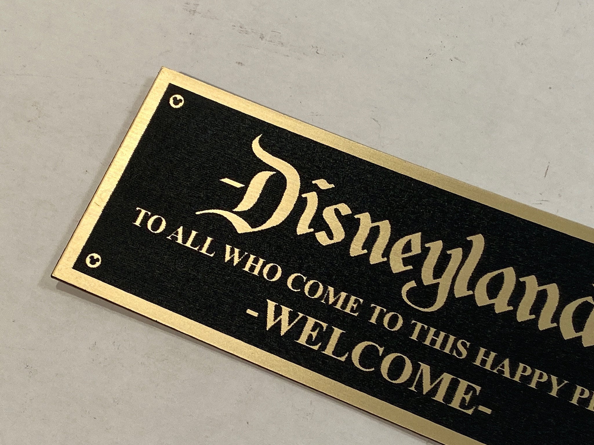 Disney Plaque Set - Disneyland & Disneyworld - Etsy