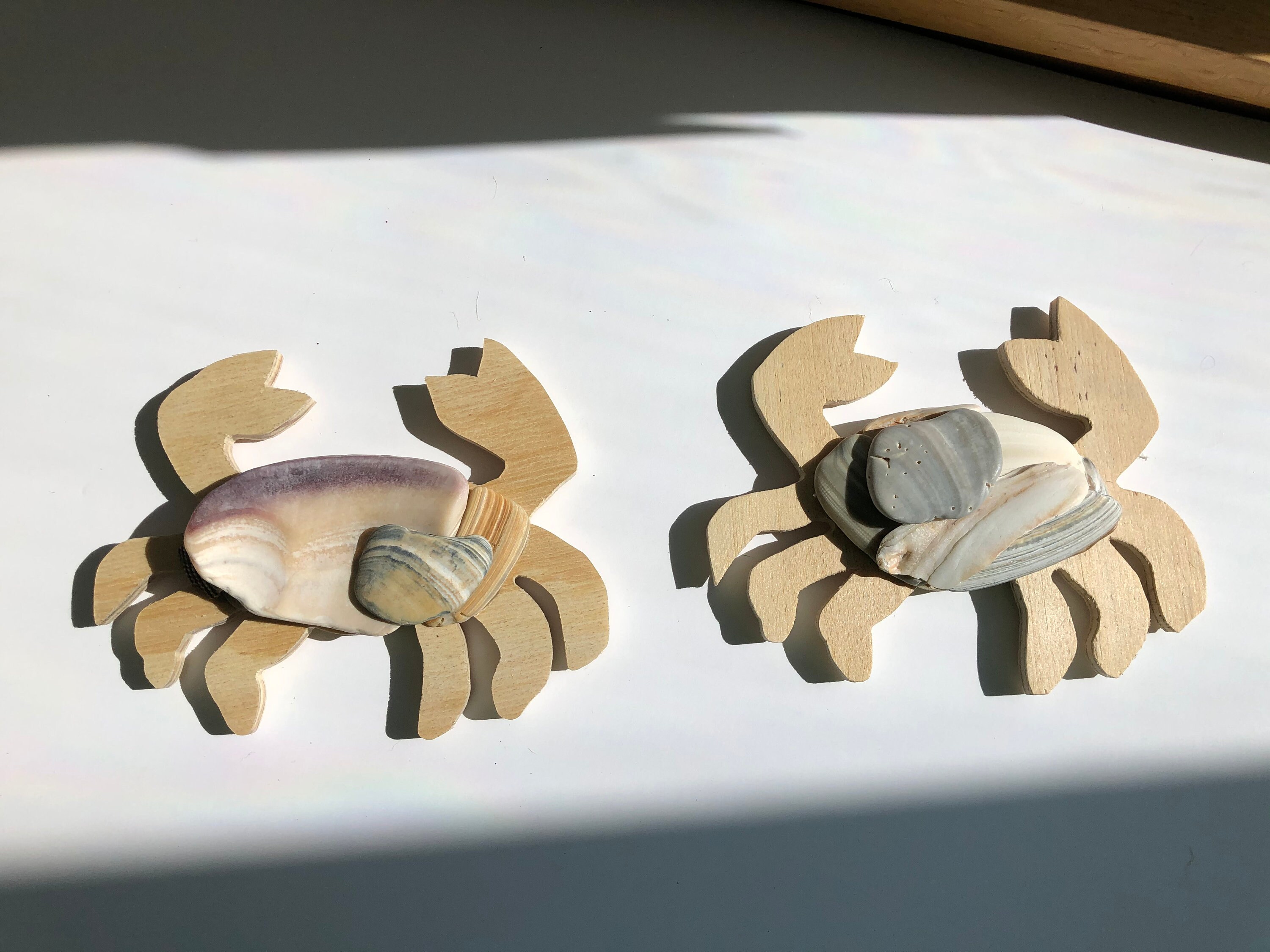 Seashell Crab Magnet - Etsy