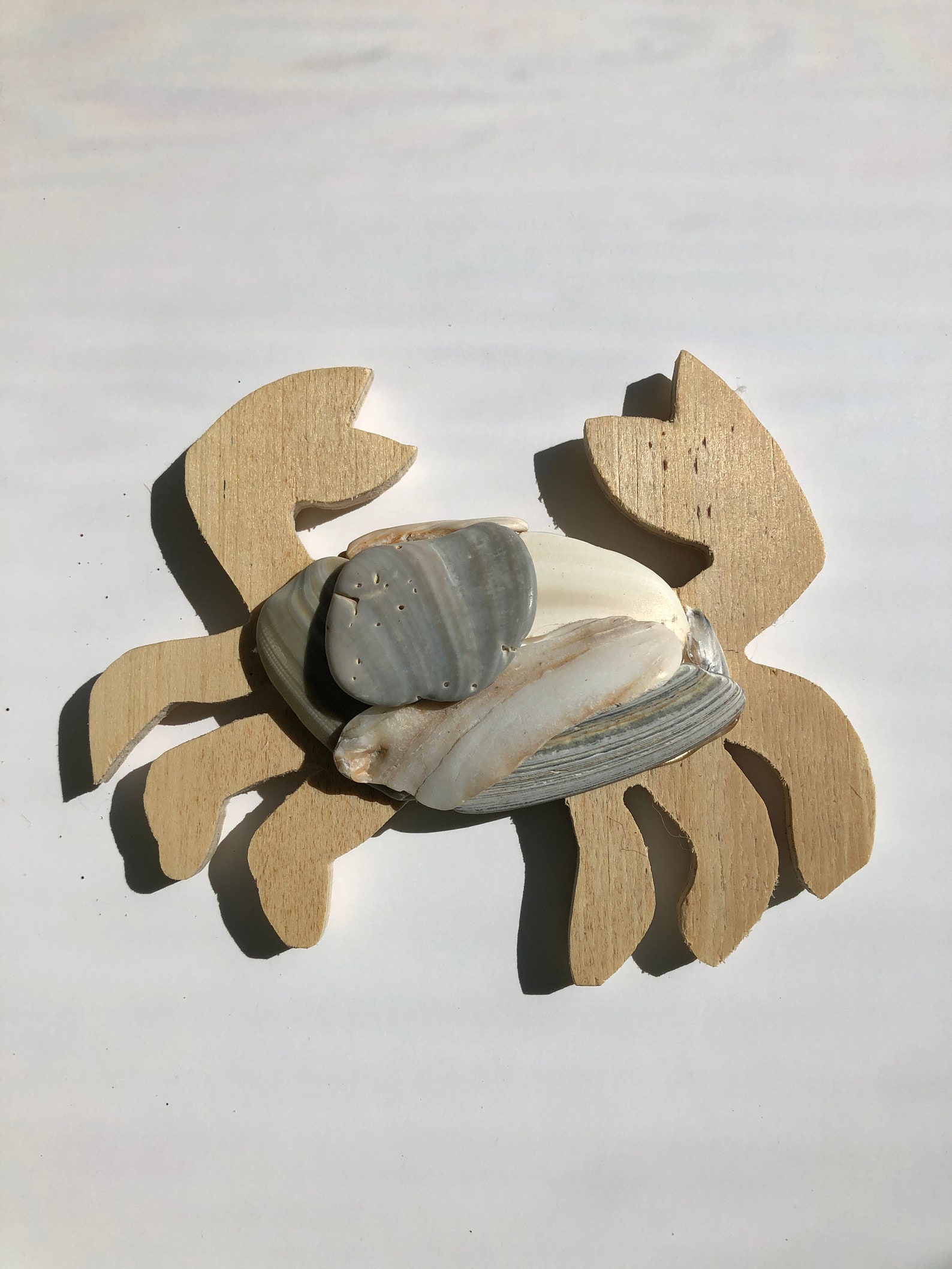 Seashell Crab Magnet - Etsy