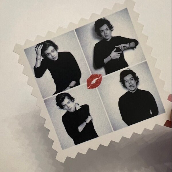 Harry Styles Photobooth Sticker - Etsy UK
