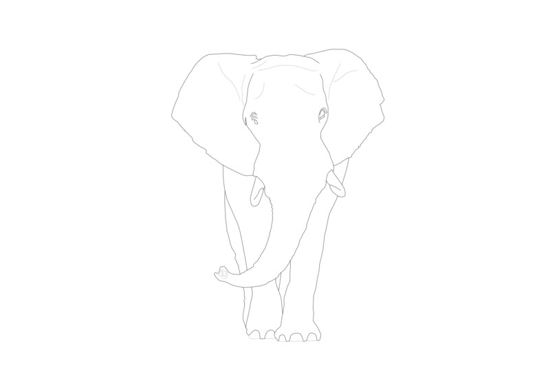 Block DWG Autocad 1 Elephant. - Etsy