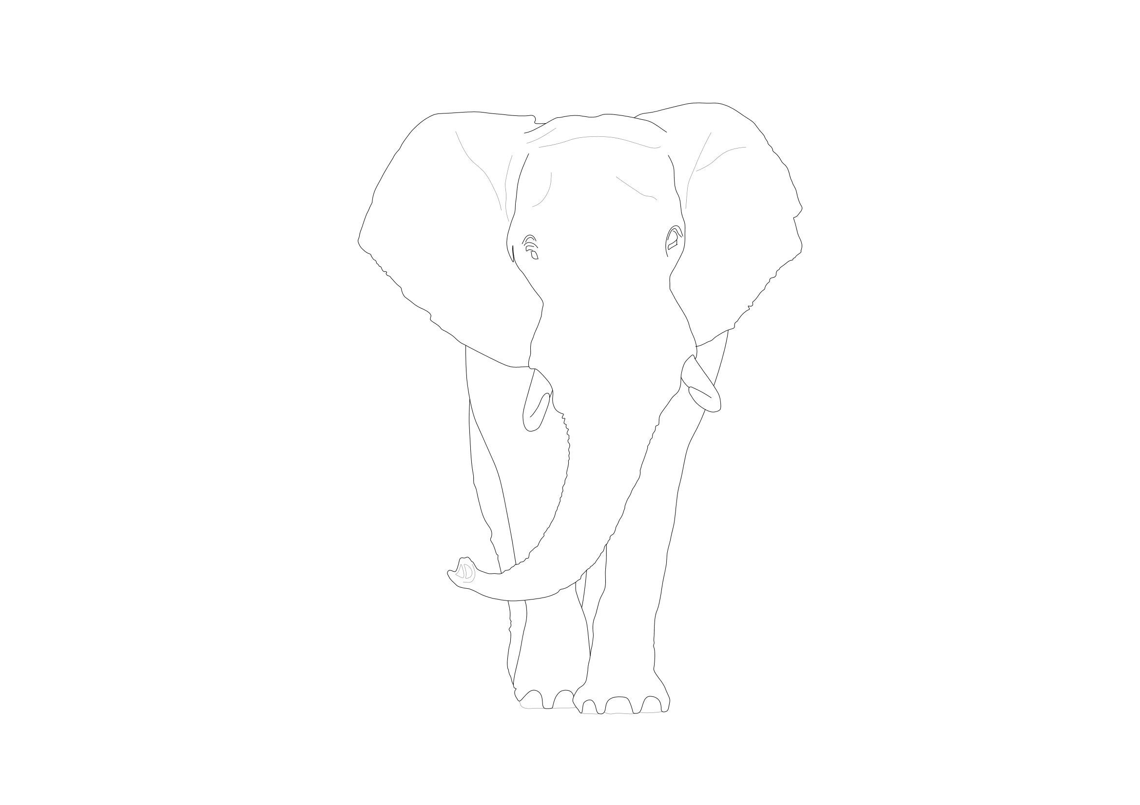 Block Dwg Autocad 1 Elephant Etsy