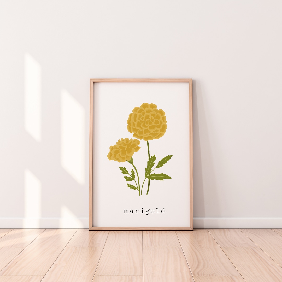 Marigold Flower Print, October Birth Flower Wall Art, Botanical Floral ...