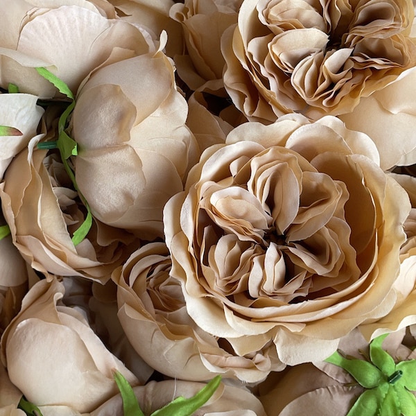Cabbage Roses - Etsy