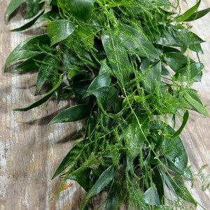 Fresh Italian Ruscus & Plumosa Fern Garland: Wedding Table Arch Decor ...