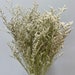 Fresh White Misty // Bulk White Caspia // Dried Wedding Flowers ...
