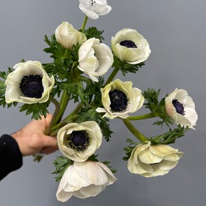 White Anemone Bouquet: 20 Fresh Cut Flowers, Wedding Decor - Etsy