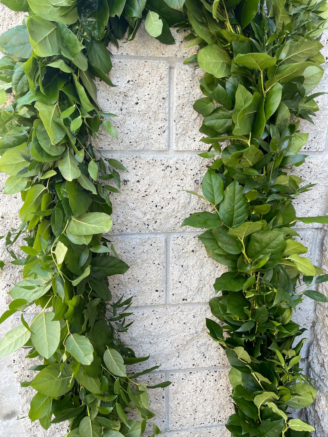 Fresh Italian Ruscus & Salal Garland // Natural Combo Garland | Etsy