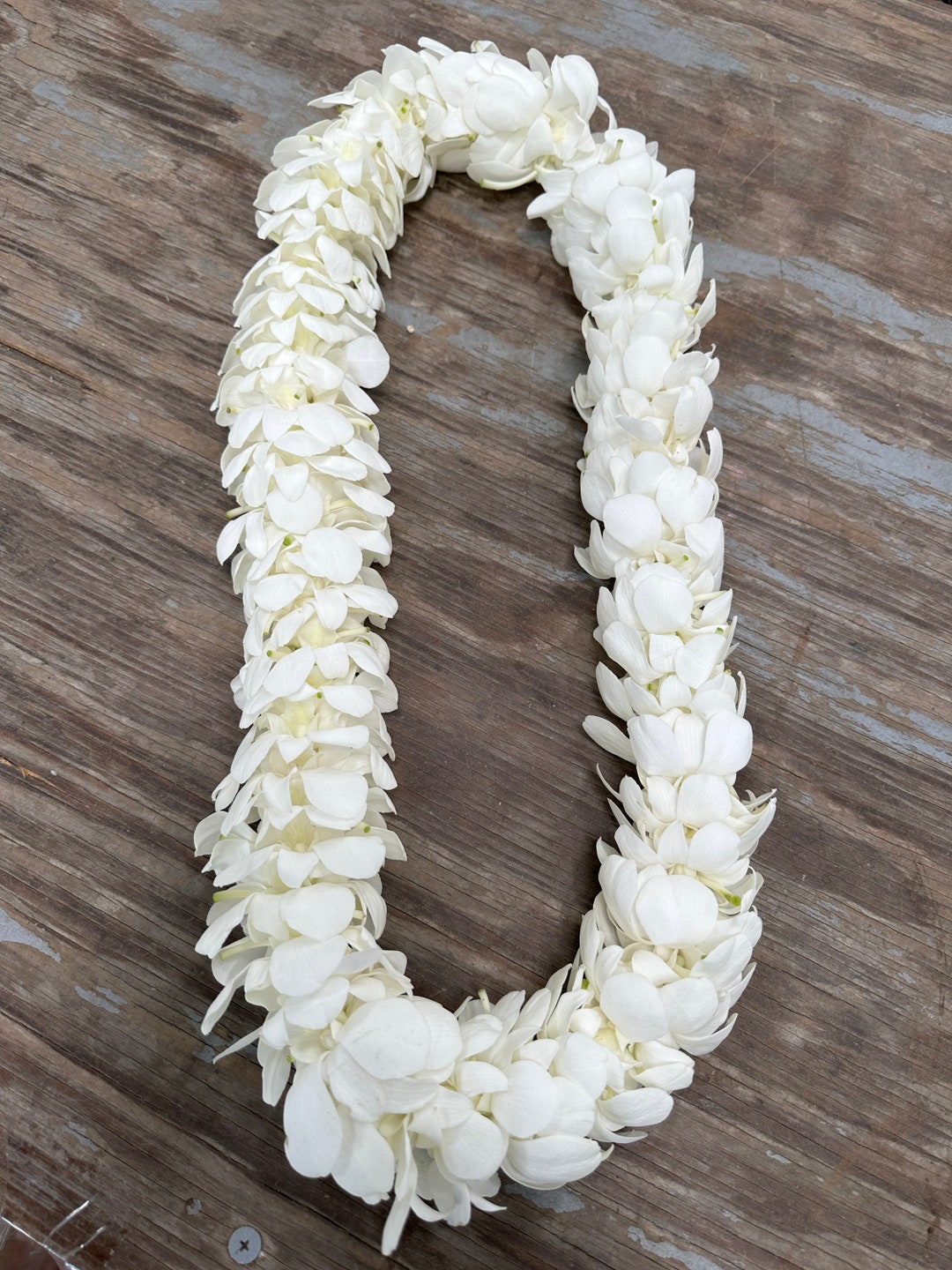 Fresh White Orchid Lei Double Thickness Handmade Orchid Lei White Vibrant Fresh Hand Crafted