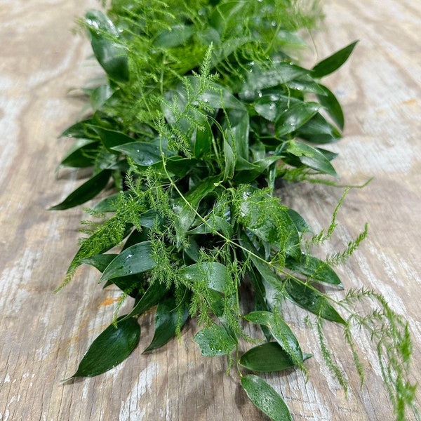 Italian Ruscus Table - Etsy