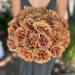 Fresh Toffee Brown Roses | Wedding Garden Roses | 20 Stem Premium ...