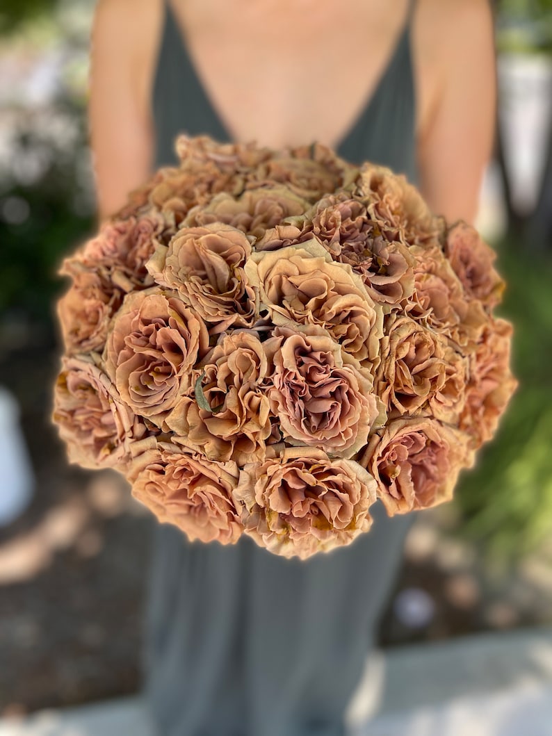 Fresh Toffee Brown Roses Wedding Garden Roses 20 Stem - Etsy