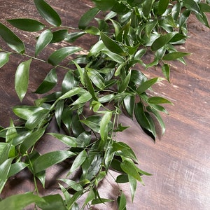 Fresh Italian Ruscus Garland: Wedding Greenery - Etsy