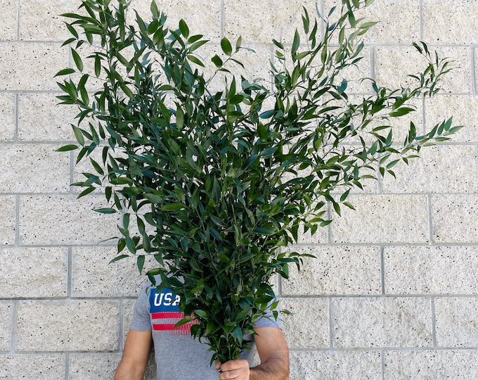 Fresh Babys Breath Ruscus Willow Garland, Real Greenery Garland ...