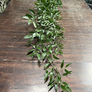 Fresh Italian Ruscus Garland: Wedding Greenery - Etsy